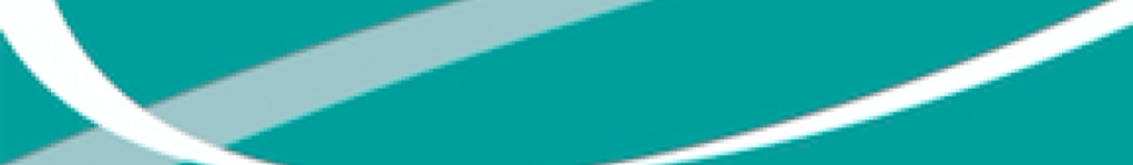 Court of Protection Handbook – a user's guide